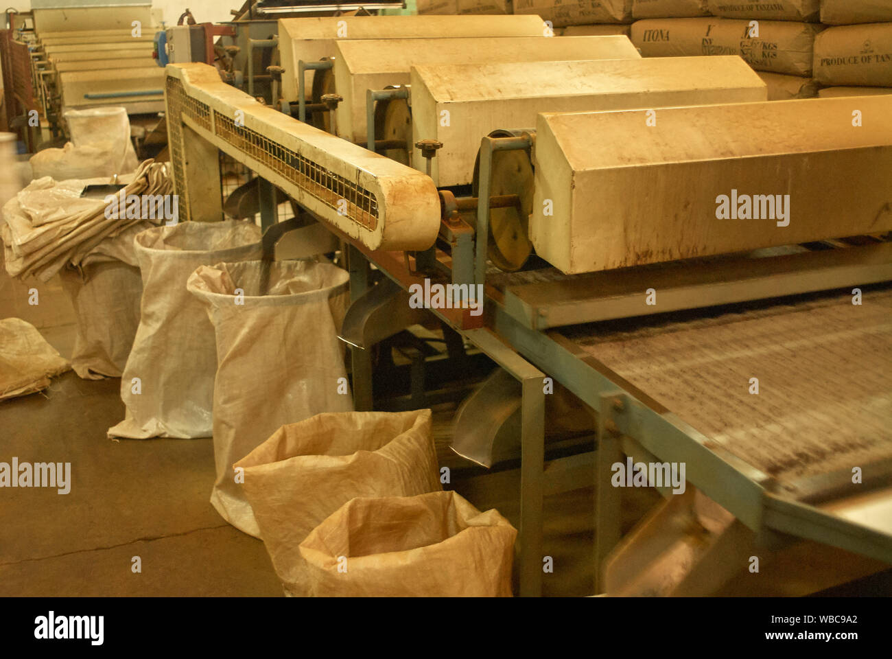 Tea sorting by leaf sizes Stock Photo - Alamy