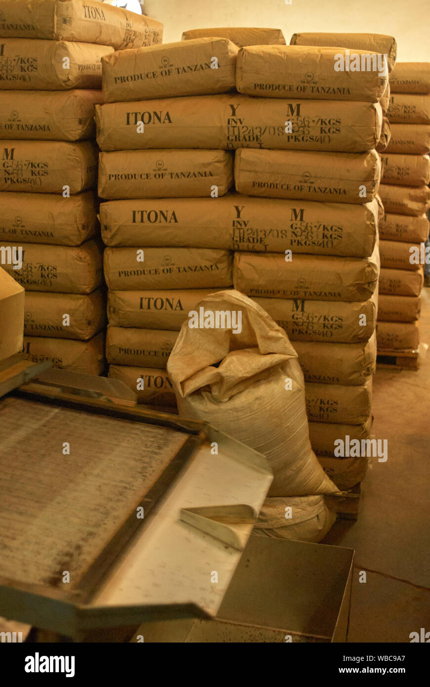 Factory packing of the final tea produce Stock Photo - Alamy