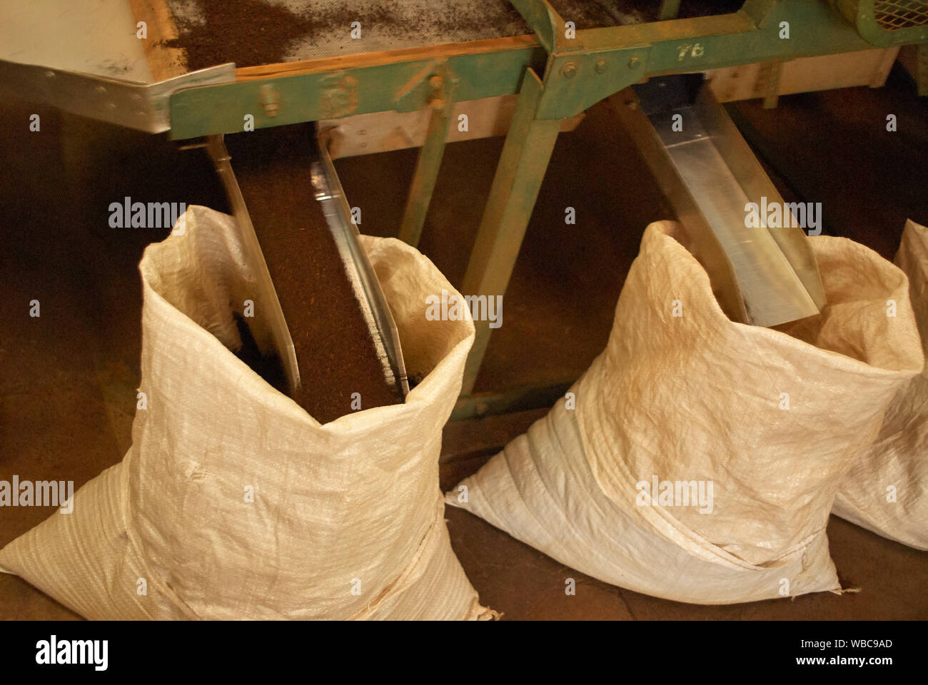 Tea packing factory hi-res stock photography and images - Alamy