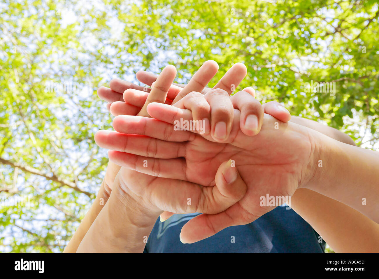 young people joining hands together in nature background. Concept unity ...