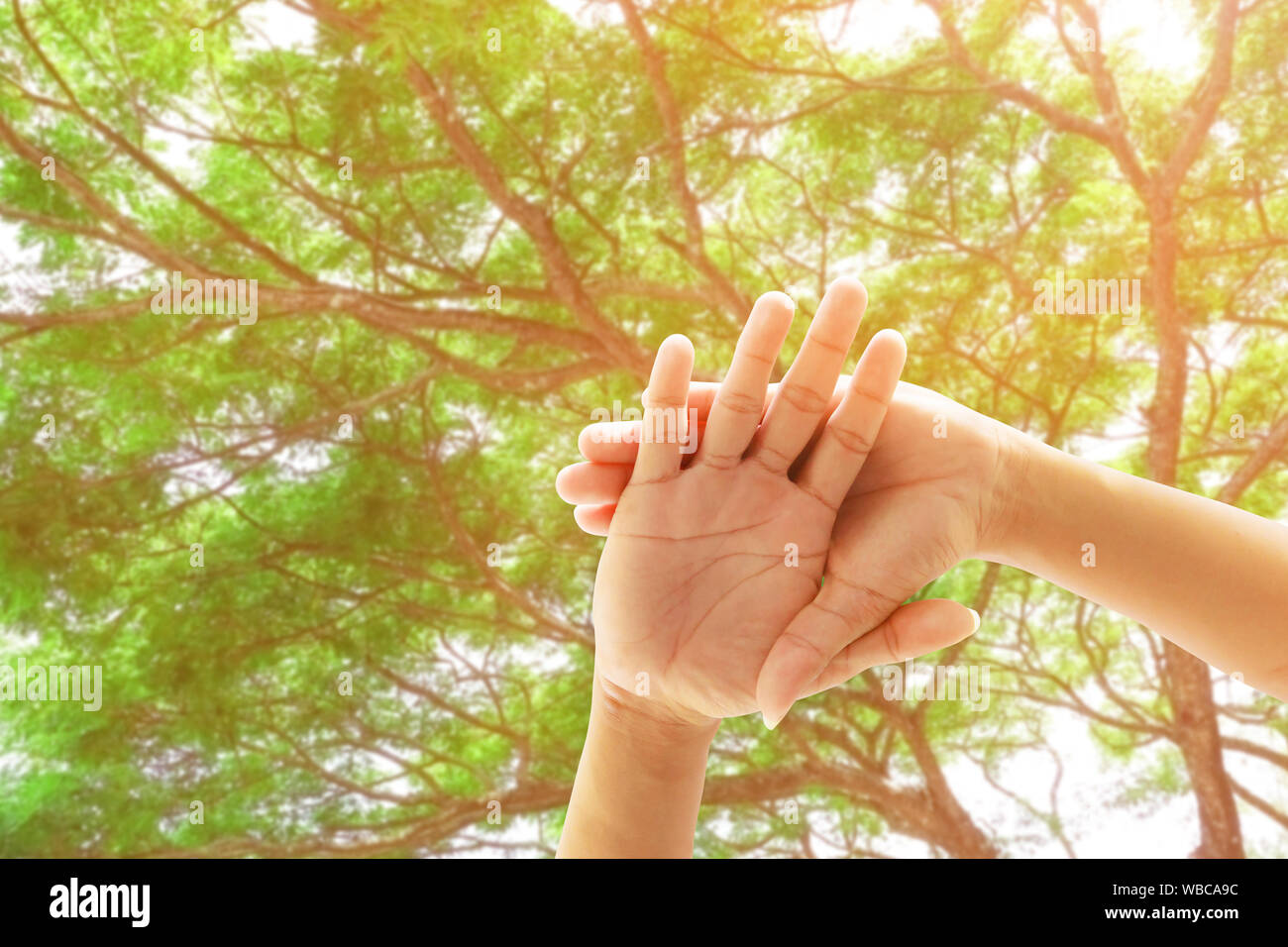 young people joining hands together in nature background. Concept unity ...