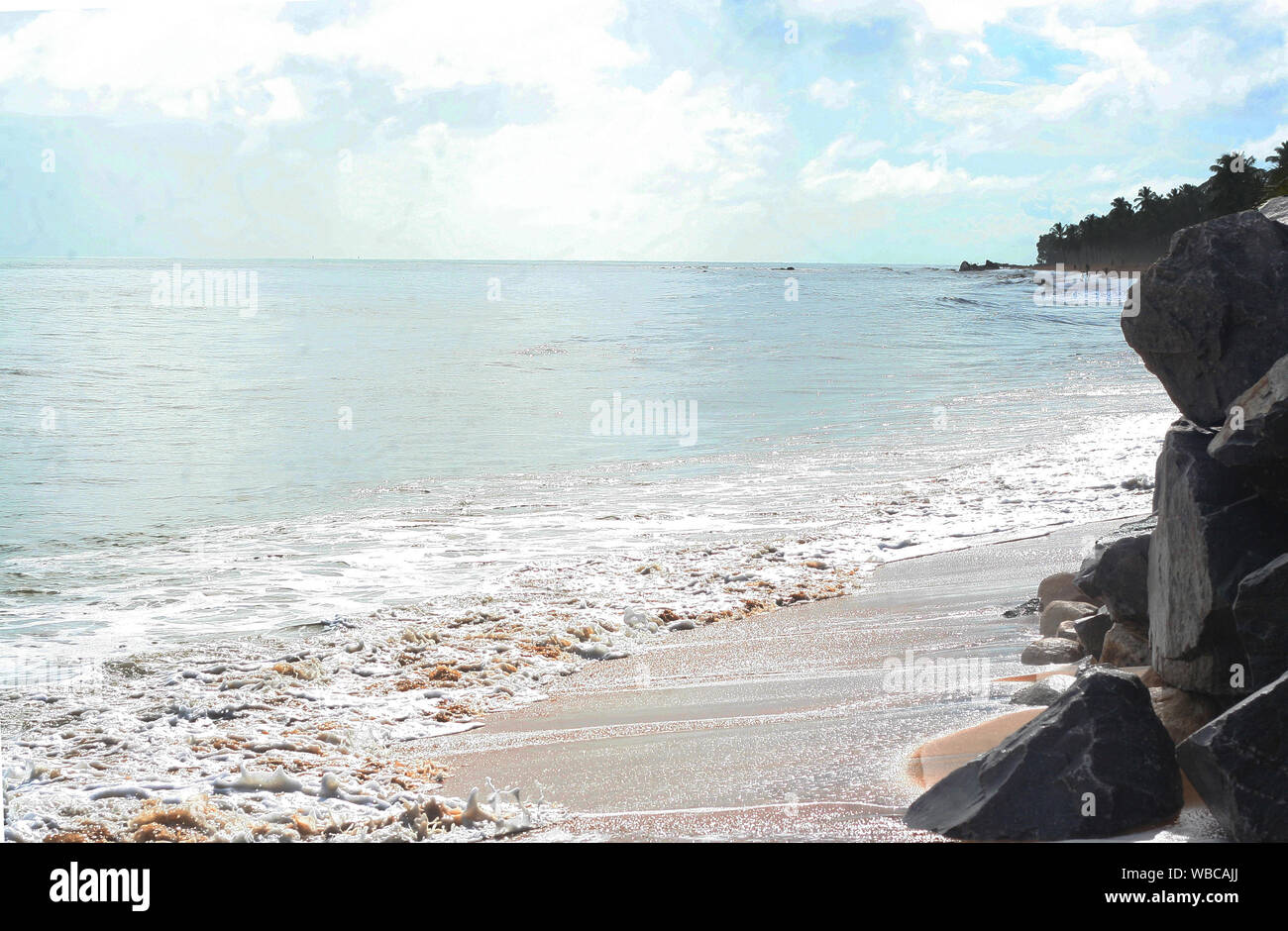 sandy and rocky paradise beach in french Guiana Stock Photo - Alamy