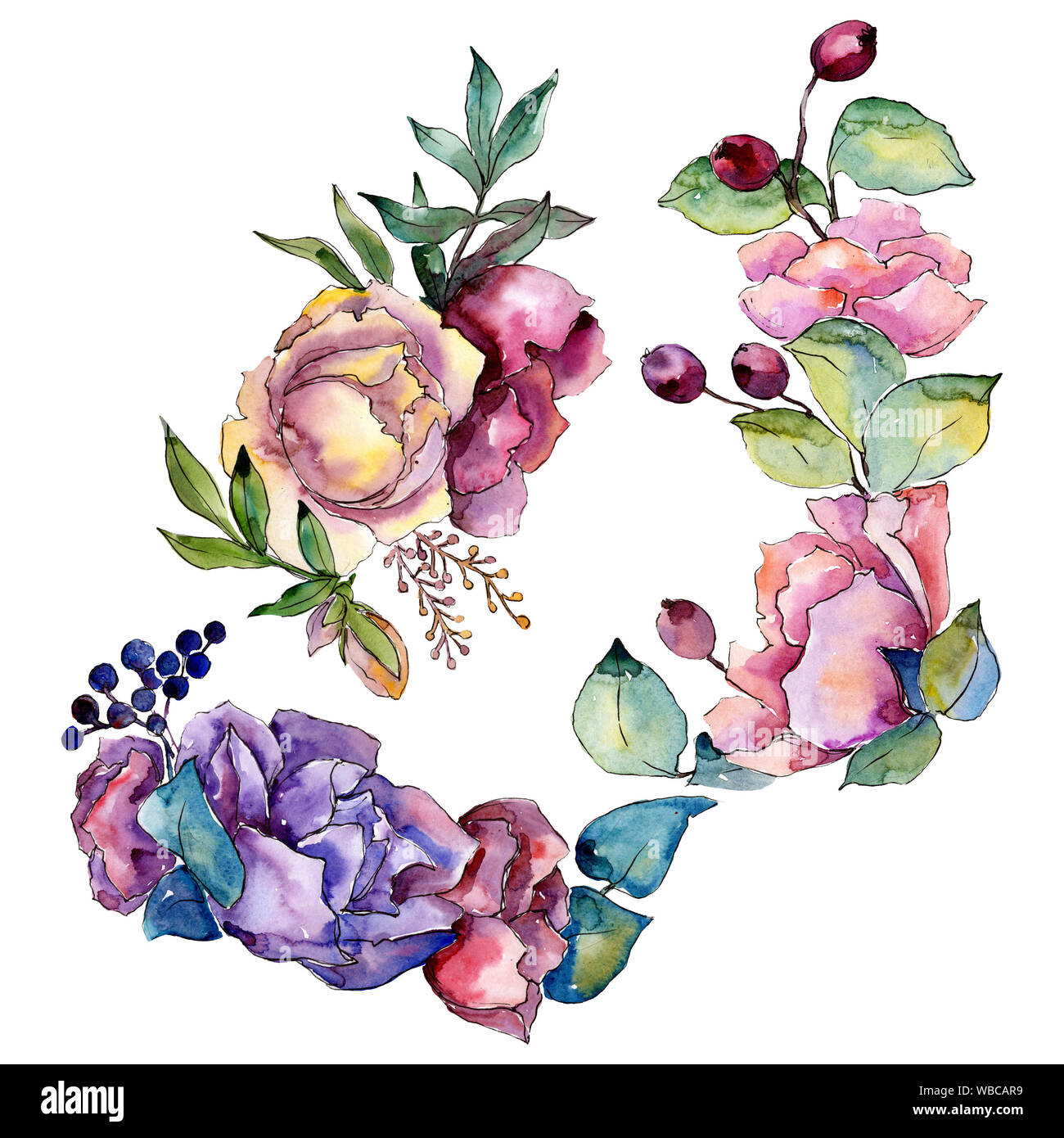 Bouquet floral botanical flowers. Watercolor background illustration ...