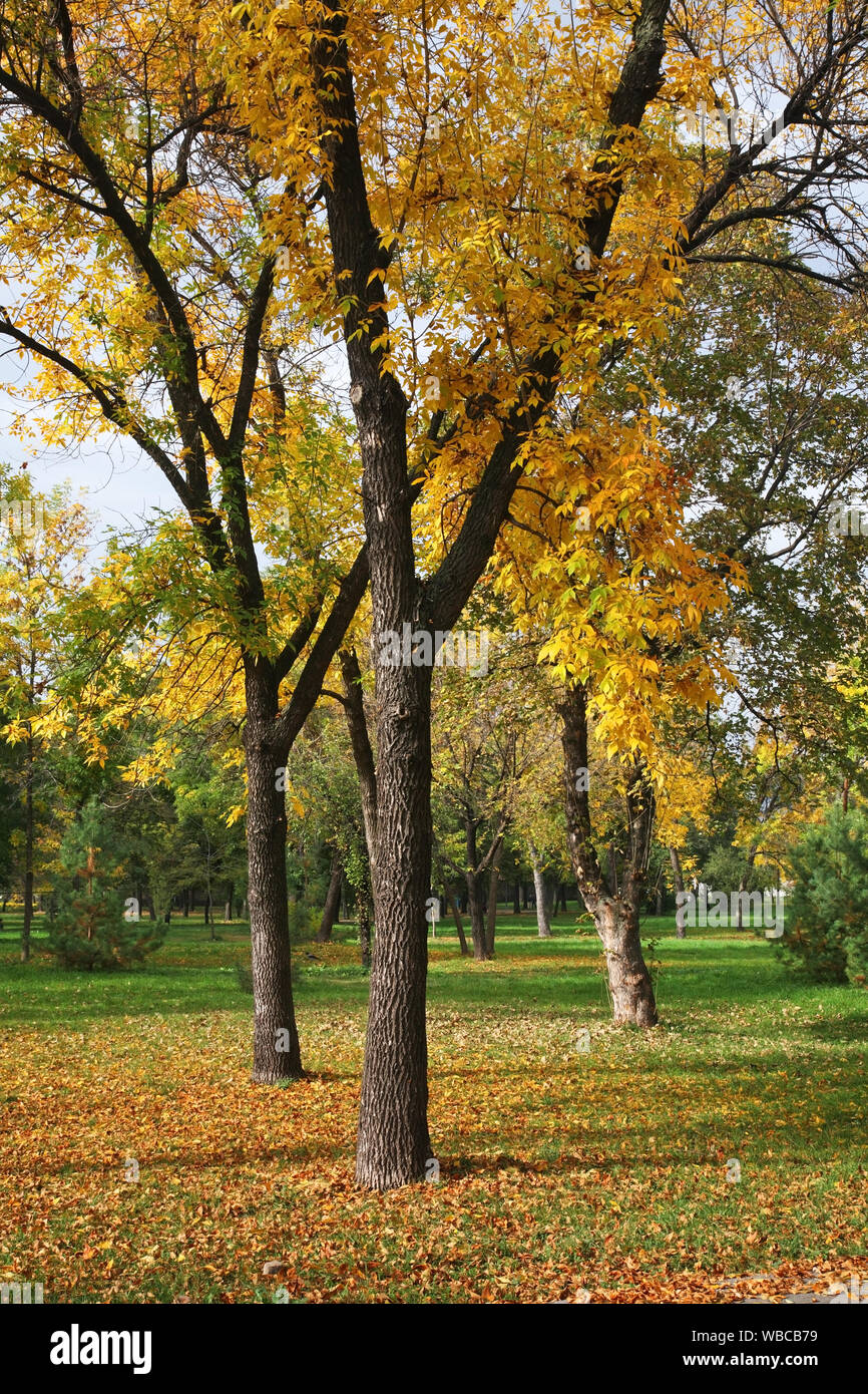 In the serbian town of nis hi-res stock photography and images - Alamy