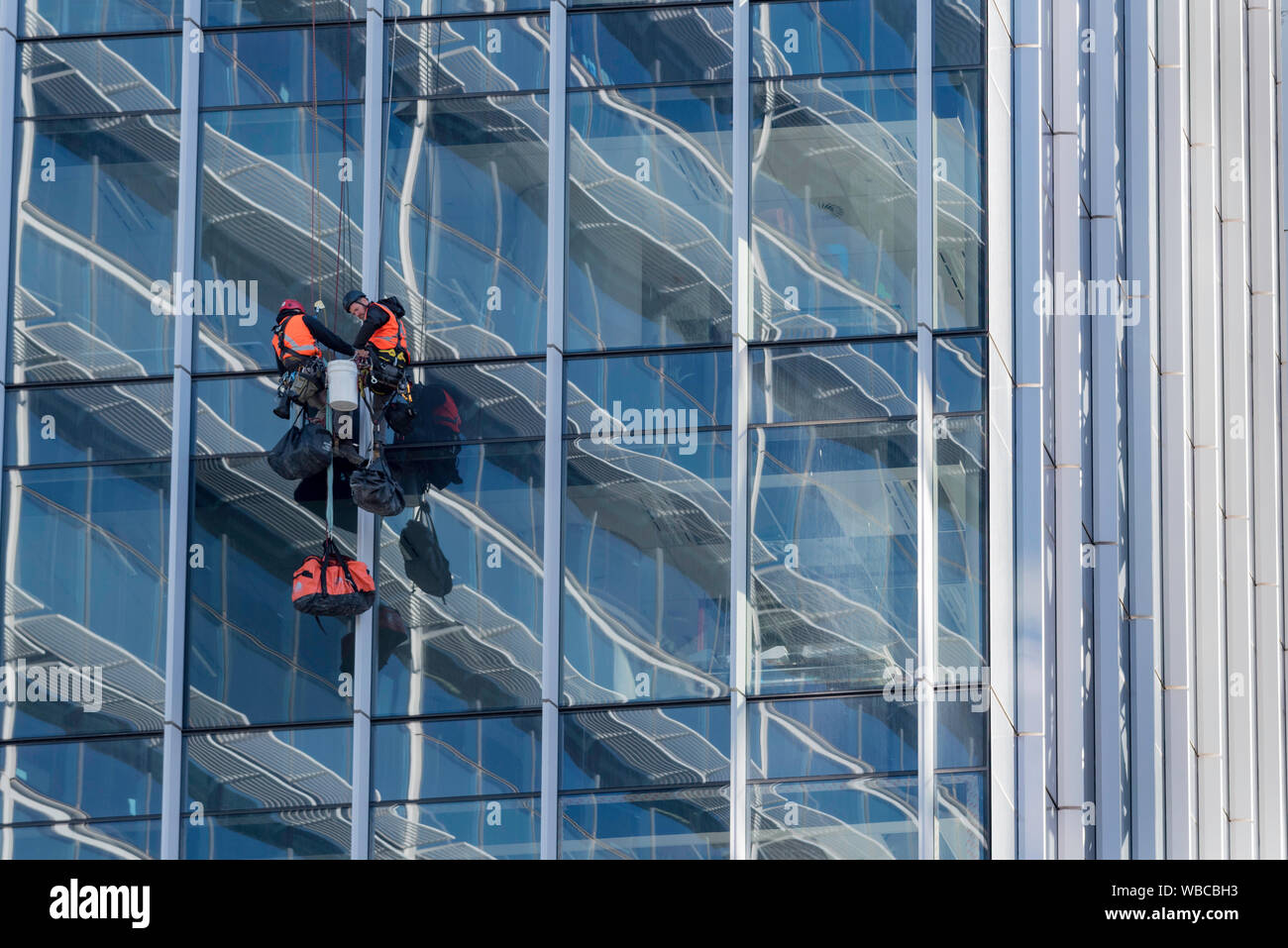 Two men rappelling or abseiling down and working on a glass curtain ...