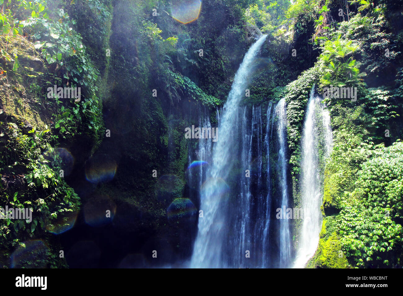 Air Terjun Tiu Kelep waterfall in lush rainforest near Rinjani, Senaru ...