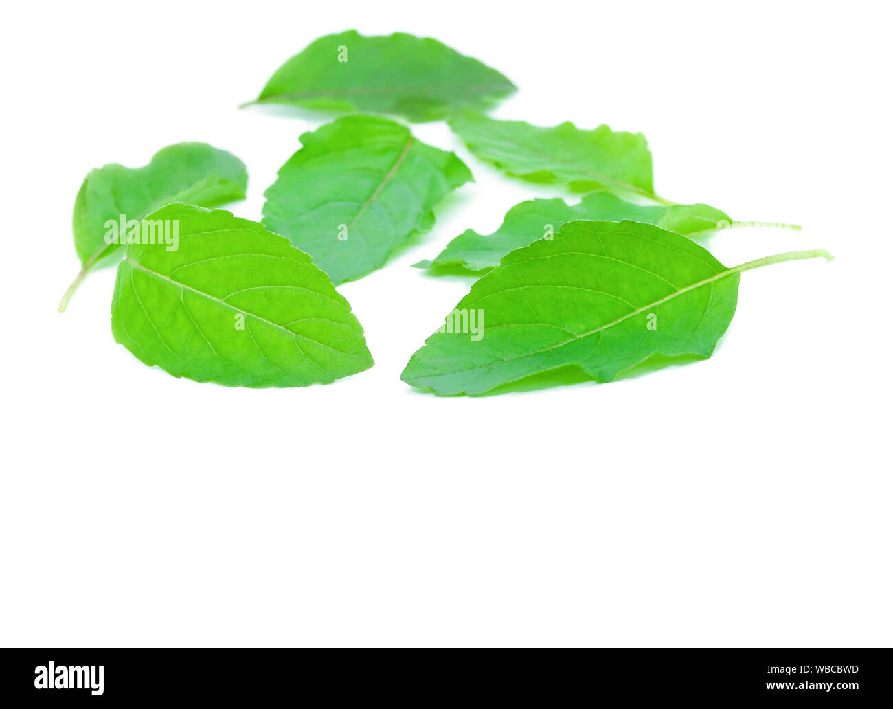 Body pile of leaves hi-res stock photography and images - Alamy