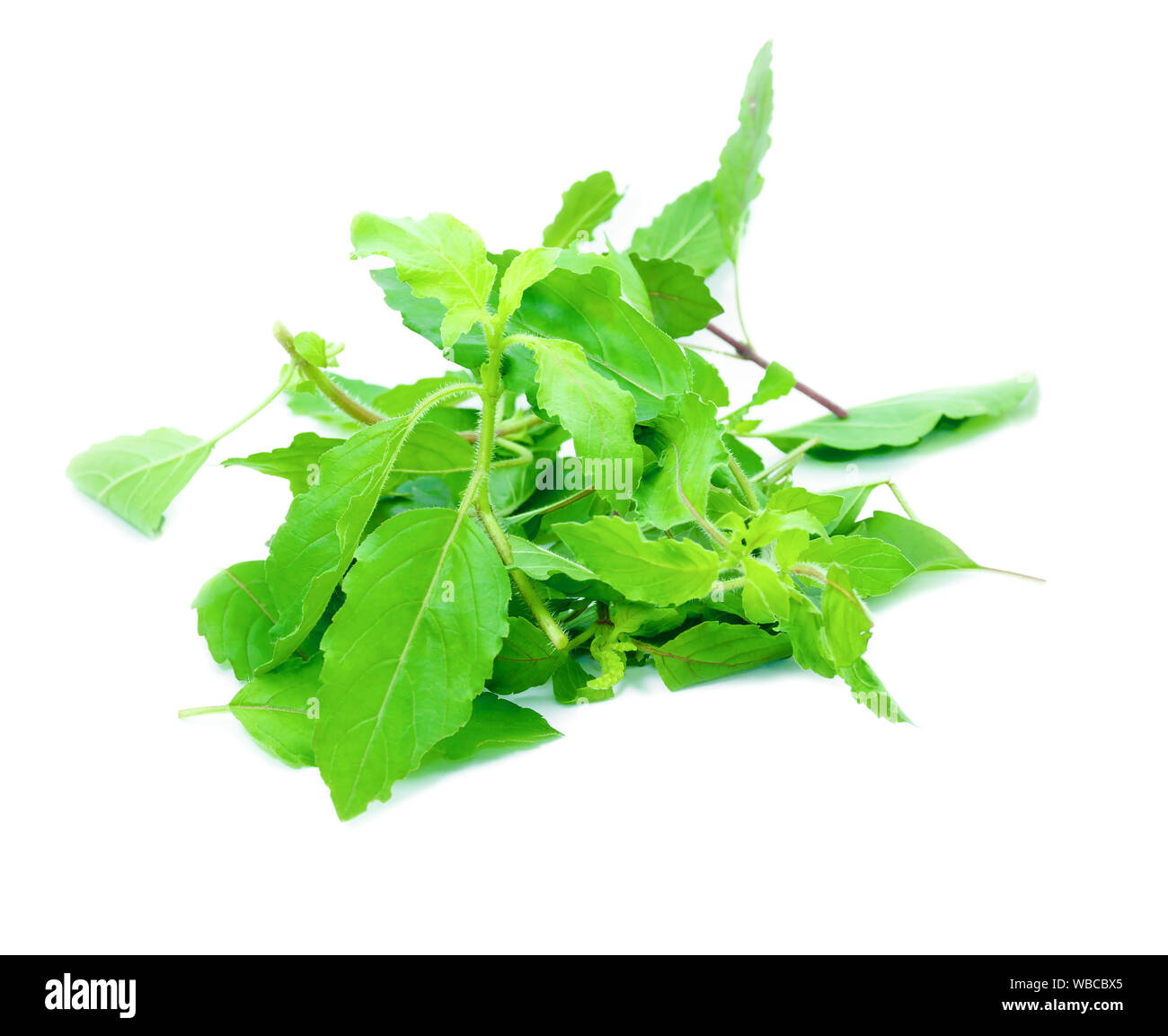 Body pile of leaves hi-res stock photography and images - Alamy