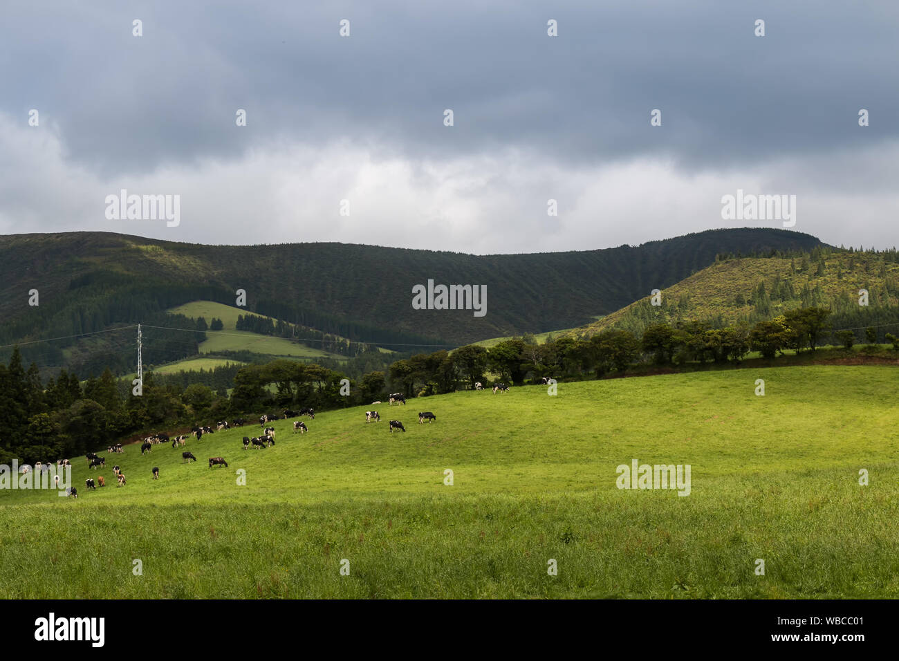 Juicy green color hi-res stock photography and images - Alamy