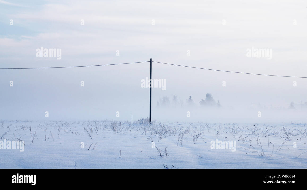 misty winter snowy landscape with a single electricity line Stock Photo ...