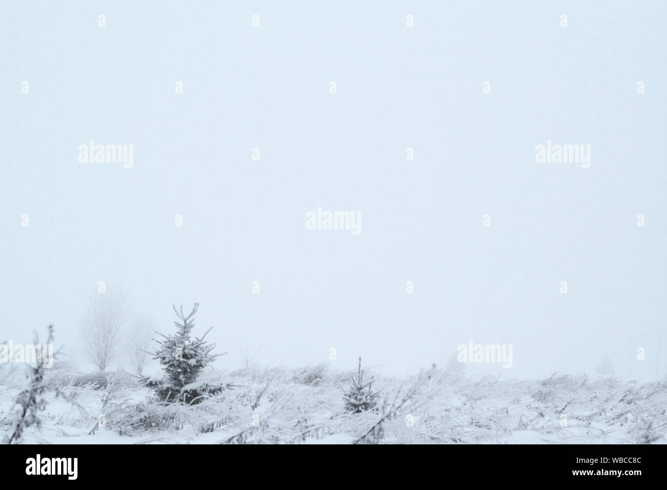 Magical winter scene hi-res stock photography and images - Alamy