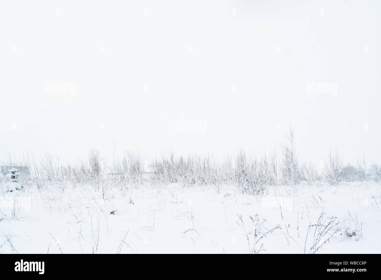 Magical winter scene hi-res stock photography and images - Alamy