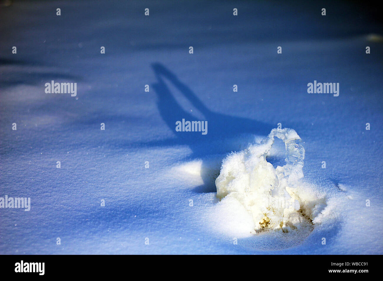 Beautiful natural abstract ice sculptures on snow with long shadows ...