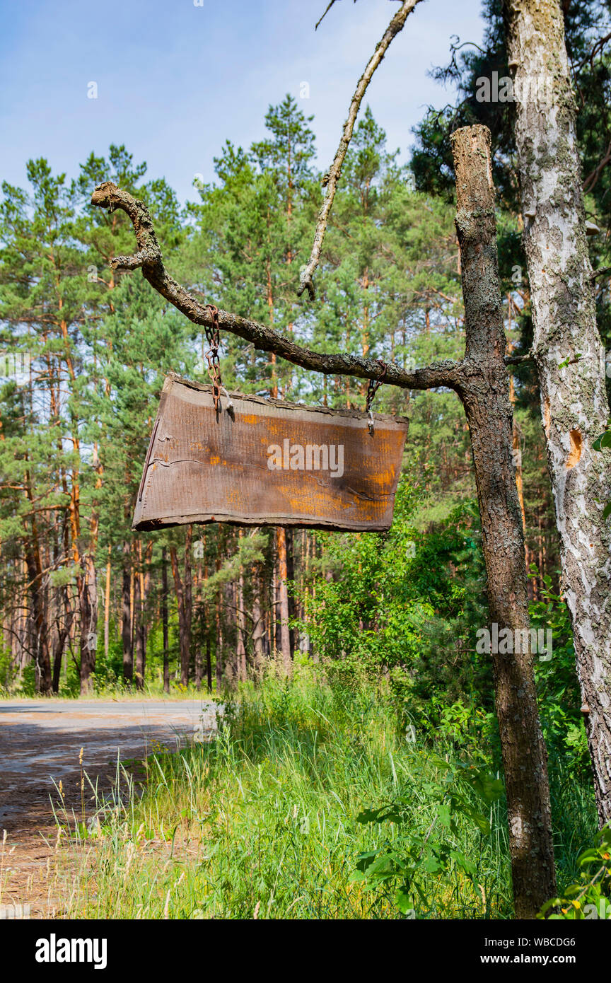 A wooden sign on the chains hangs on a tree branch. Place for text ...