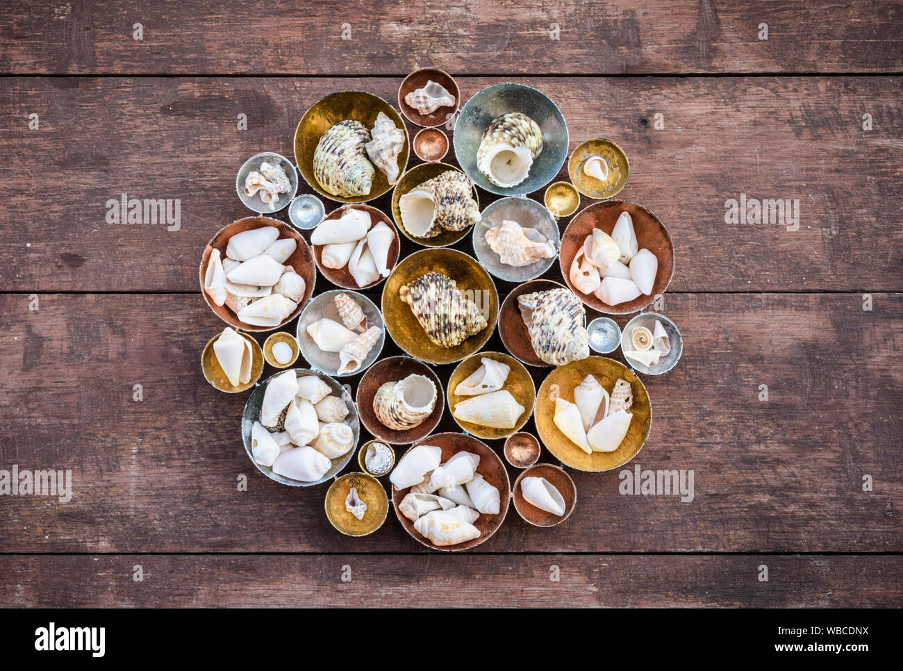 Flat lay shell collection in ornate dish Stock Photo - Alamy
