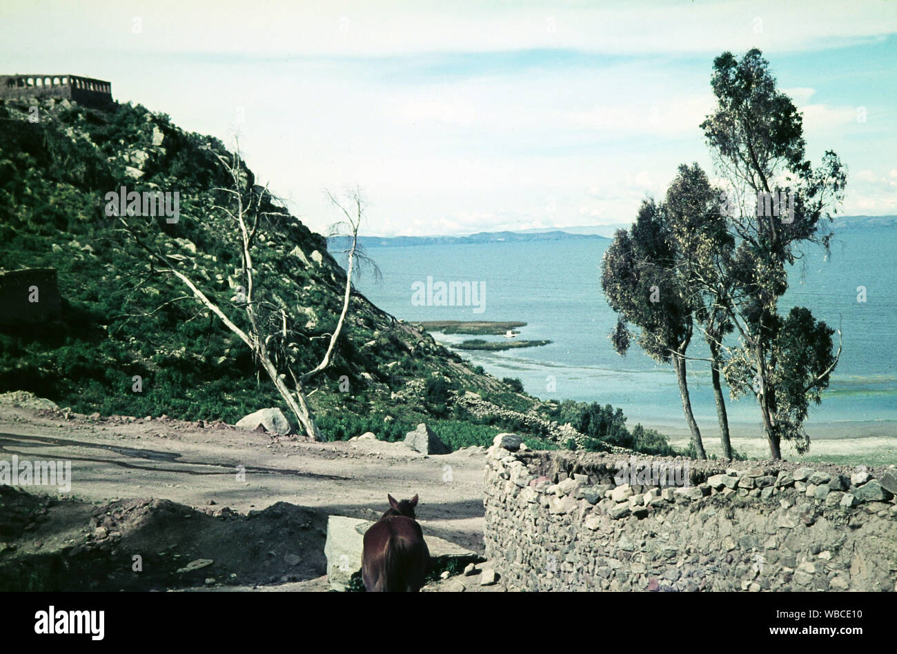 Pomata am Titicacasee, Peru 1960er Jahre. Pomata at Lake Titicaca, Peru ...