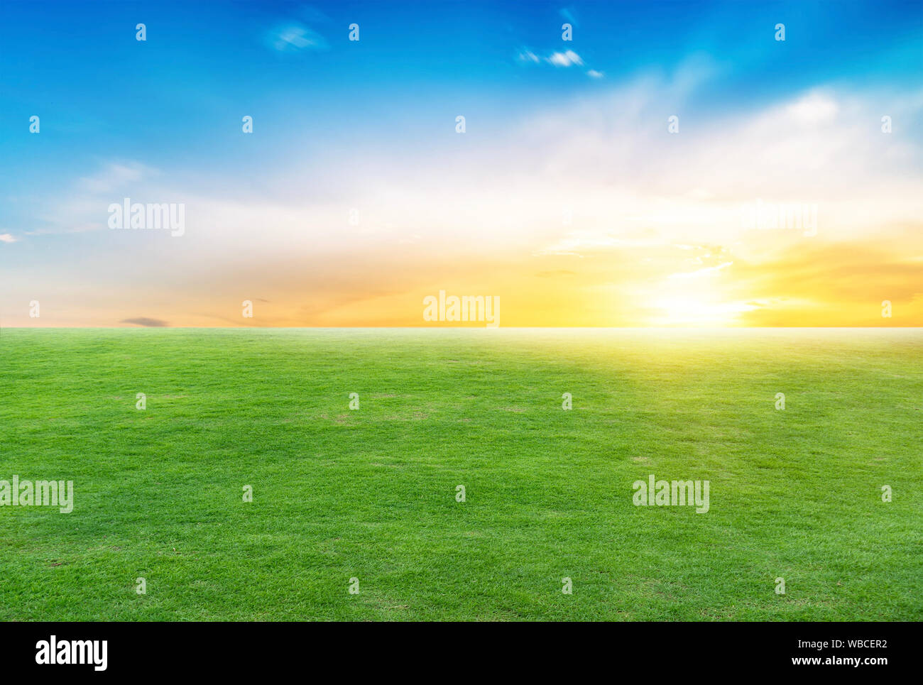 green meadow and with sunset and blue sky. Landscape and nature park ...