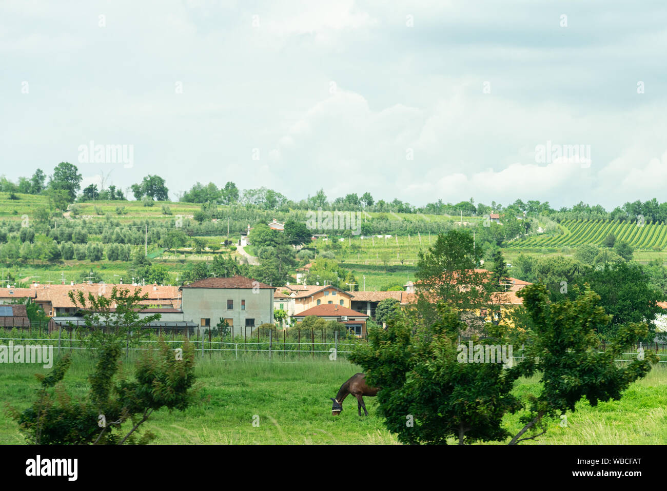 Rural italy hi-res stock photography and images - Alamy