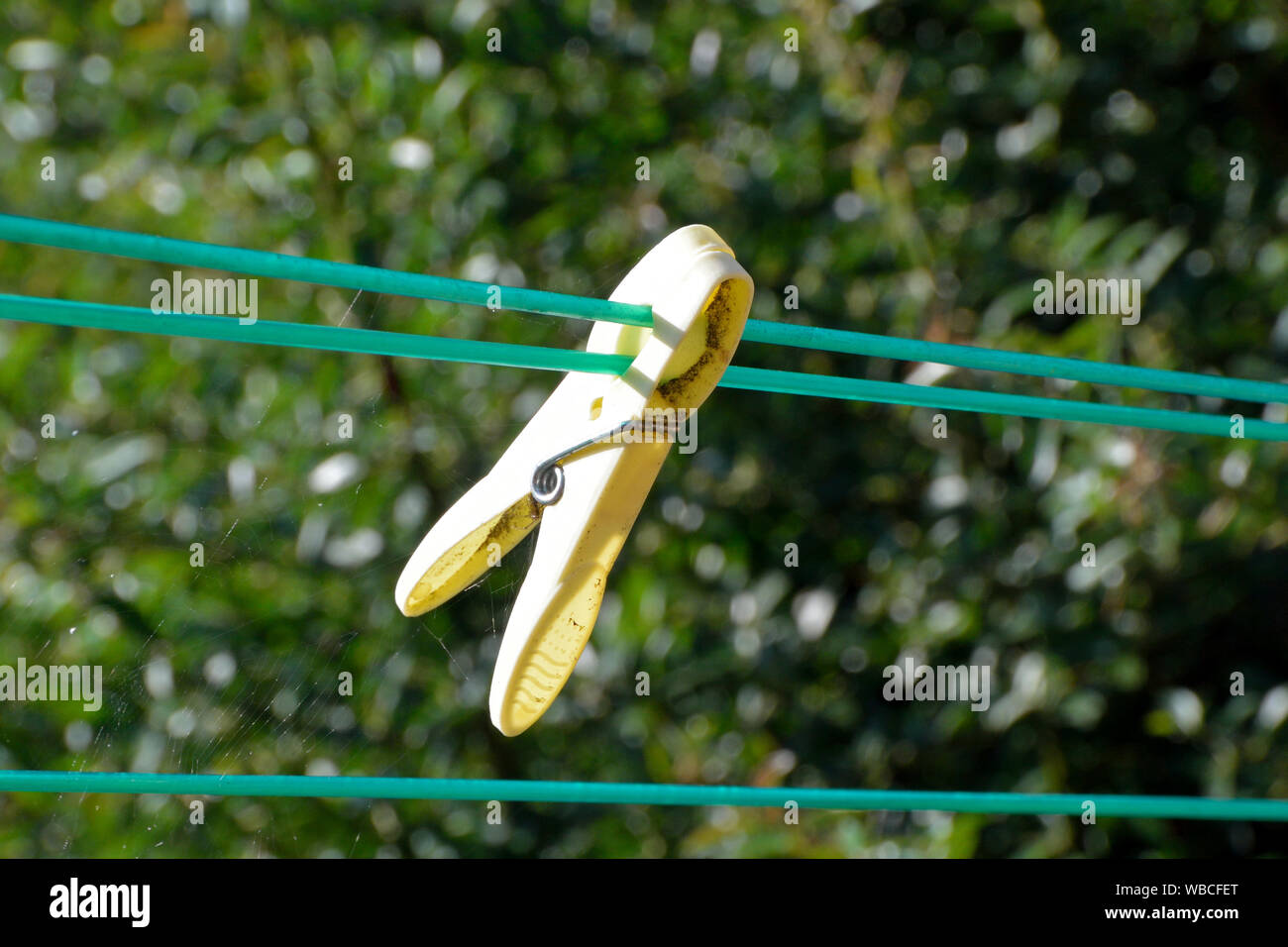 Plastic peg on a washing line in a UK garden Stock Photo - Alamy