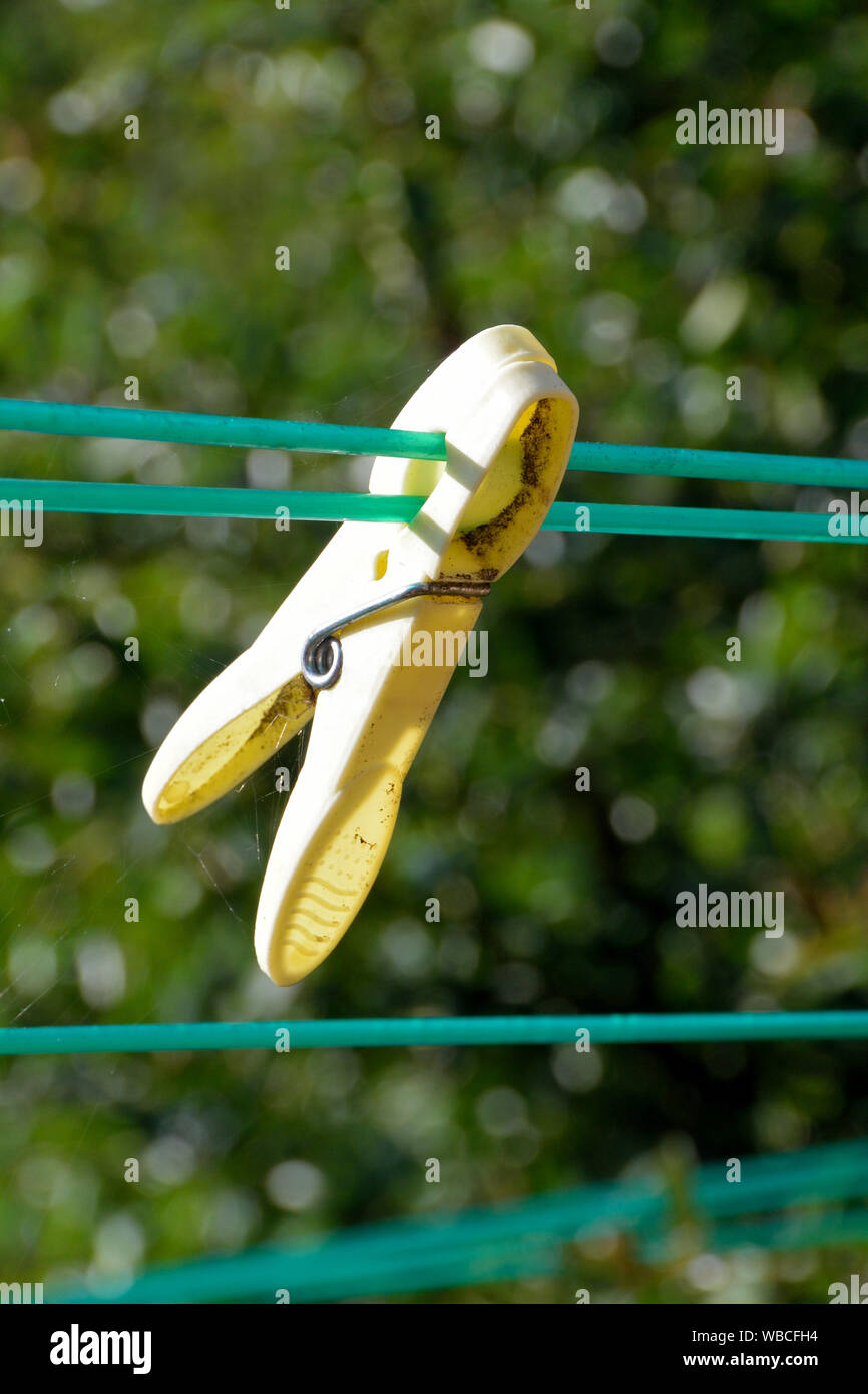 Plastic peg on a washing line in a UK garden Stock Photo - Alamy
