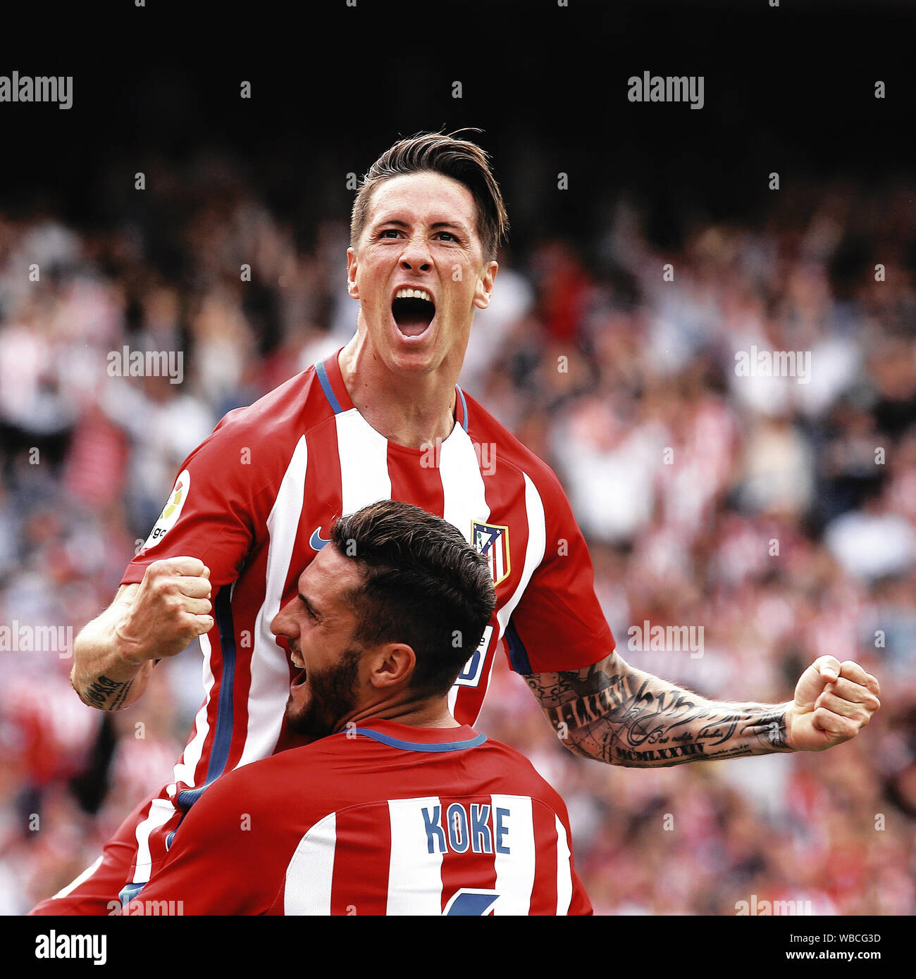 Fernando Torres Celebration 2022