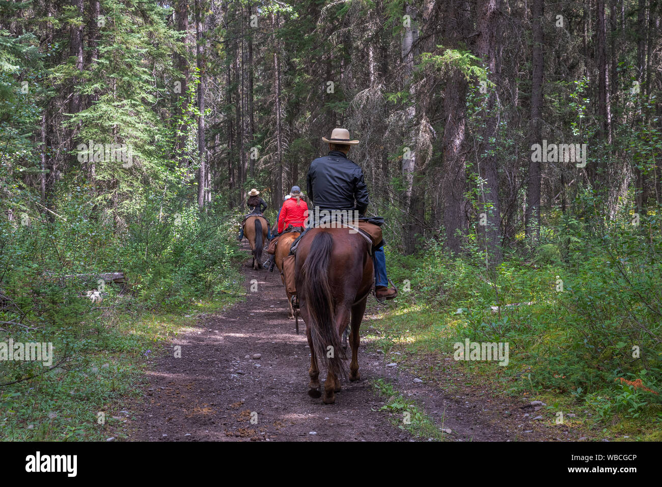 A Small Group of People on a Trail Ride in Banff, Canada Stock Photo ...