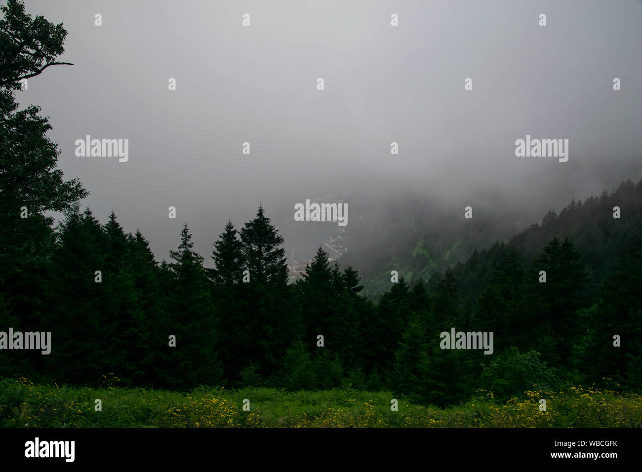 Uzungol lake view (Long lake) top view of the mountains and lake in ...