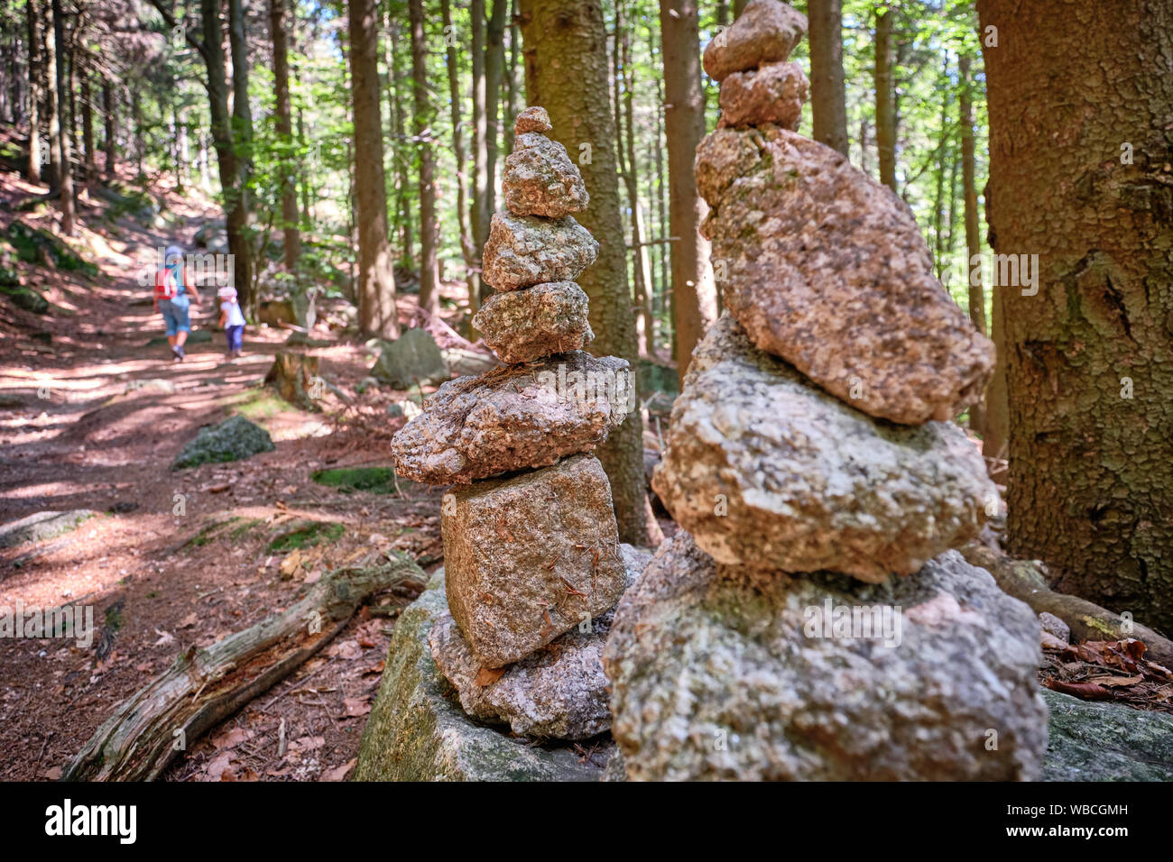 Man-made cairnes along the footpath in the forest of the Fichtel ...