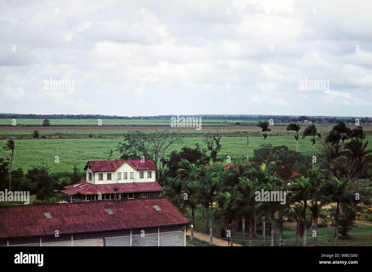Zuckerfabrik und Zuckerrohrfelder in Marienburg, Guyana 1960er Jahre ...