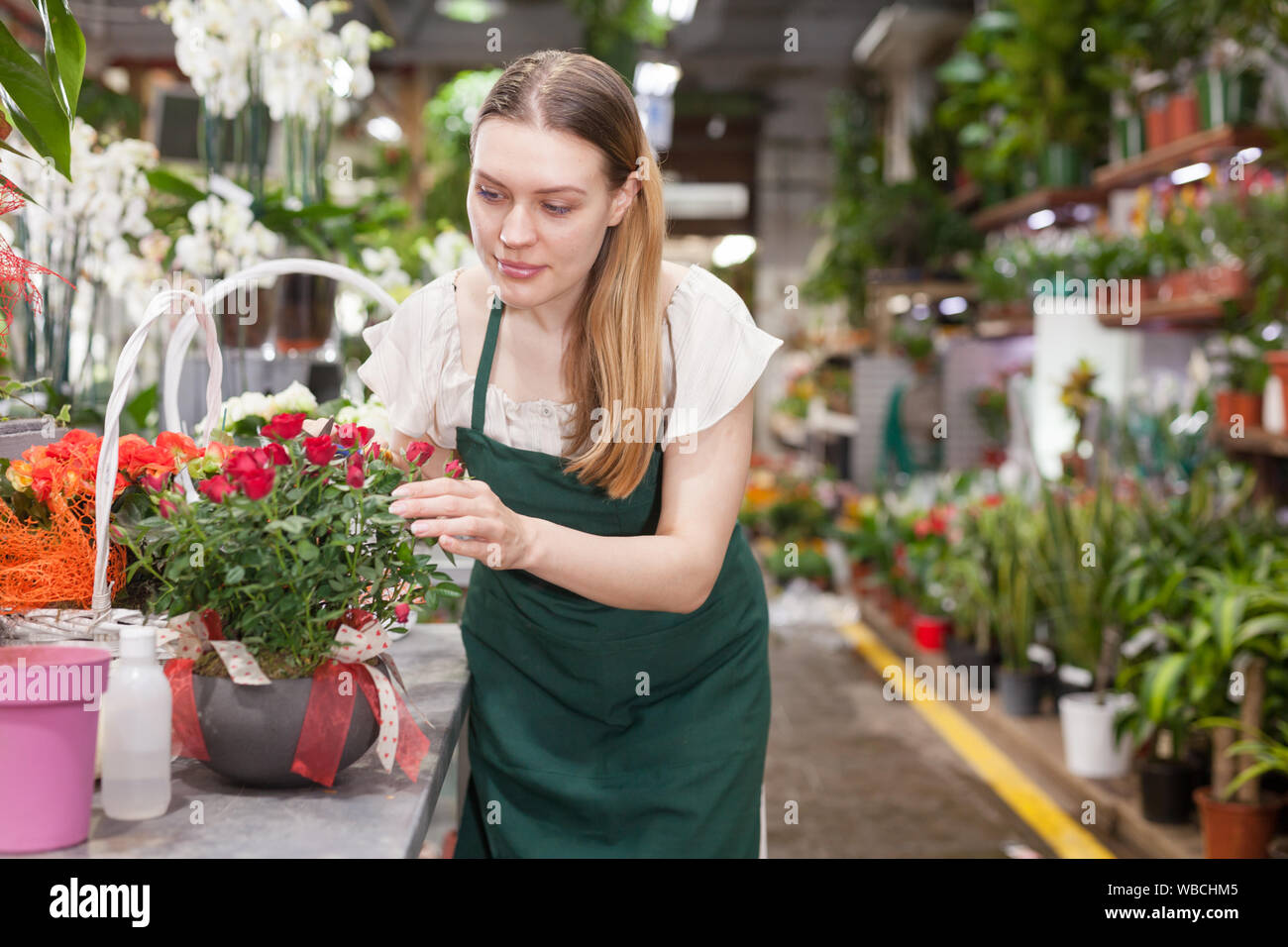 Female florist wearing an apron working in the floral shop Stock Photo ...