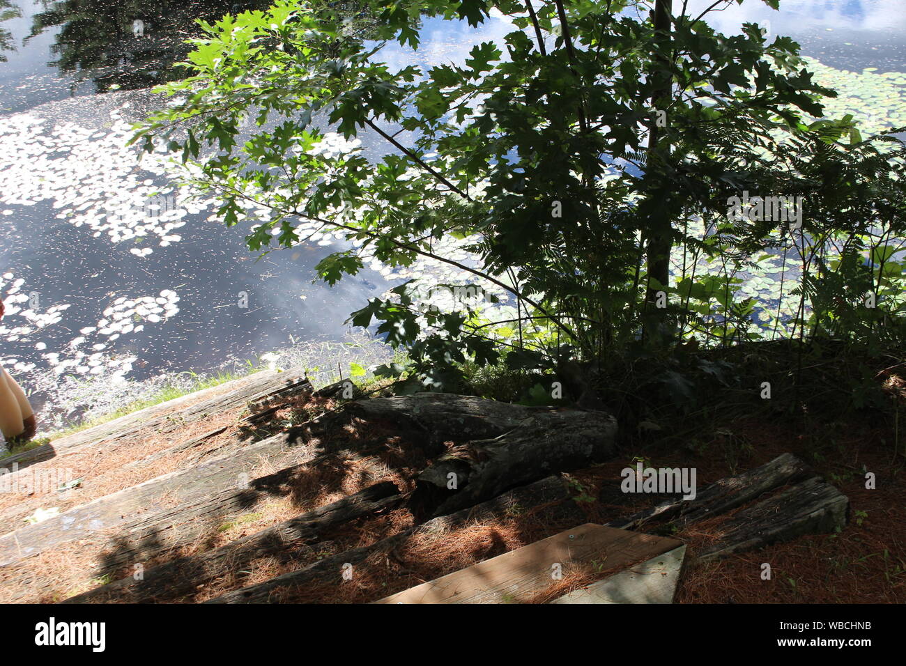 stairs going into McMullen Park lake in Warrens Wisconsin Stock Photo ...