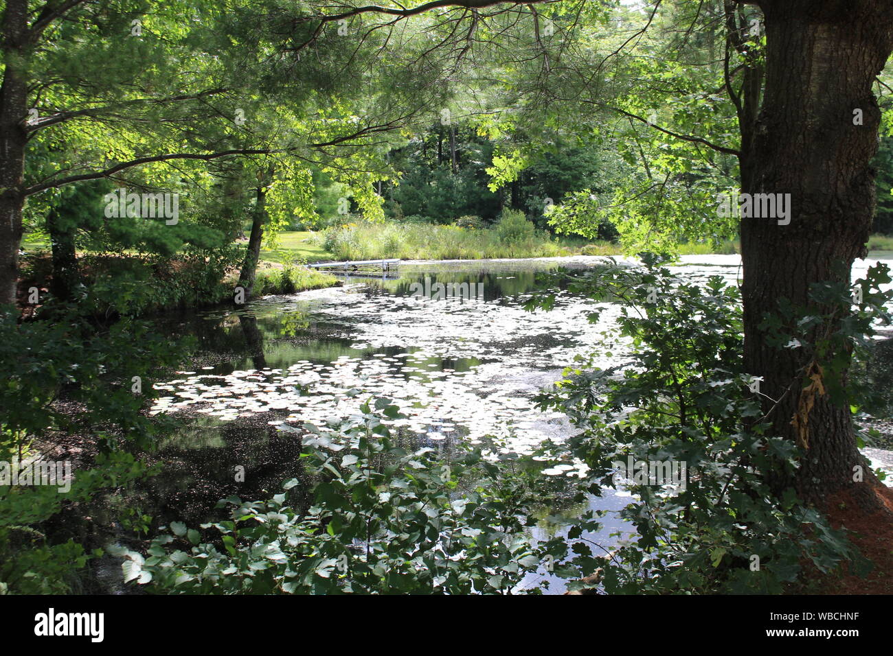 McMullen Park lake in Warrens Wisconsin Stock Photo - Alamy
