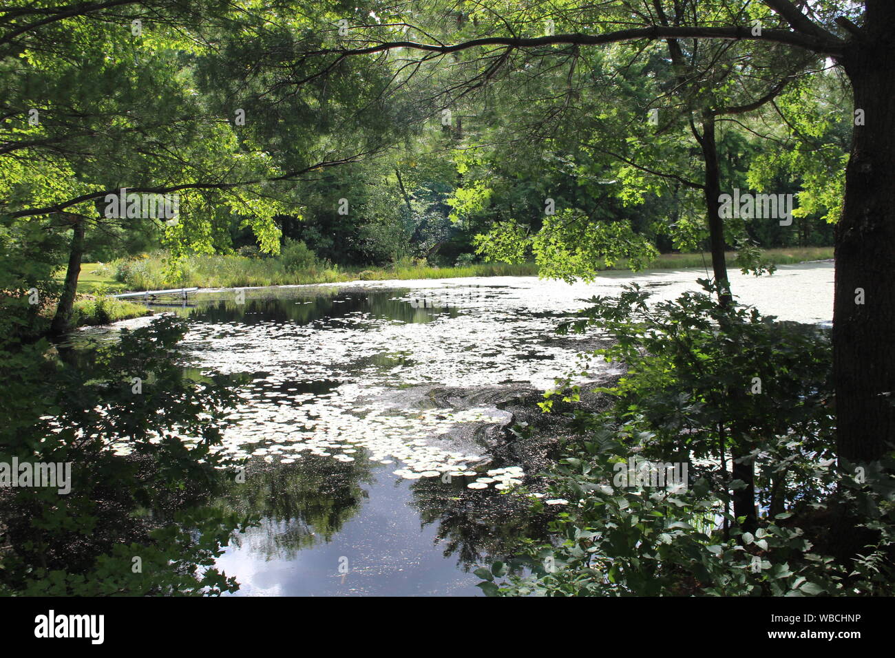 McMullen Park lake in Warrens Wisconsin Stock Photo - Alamy