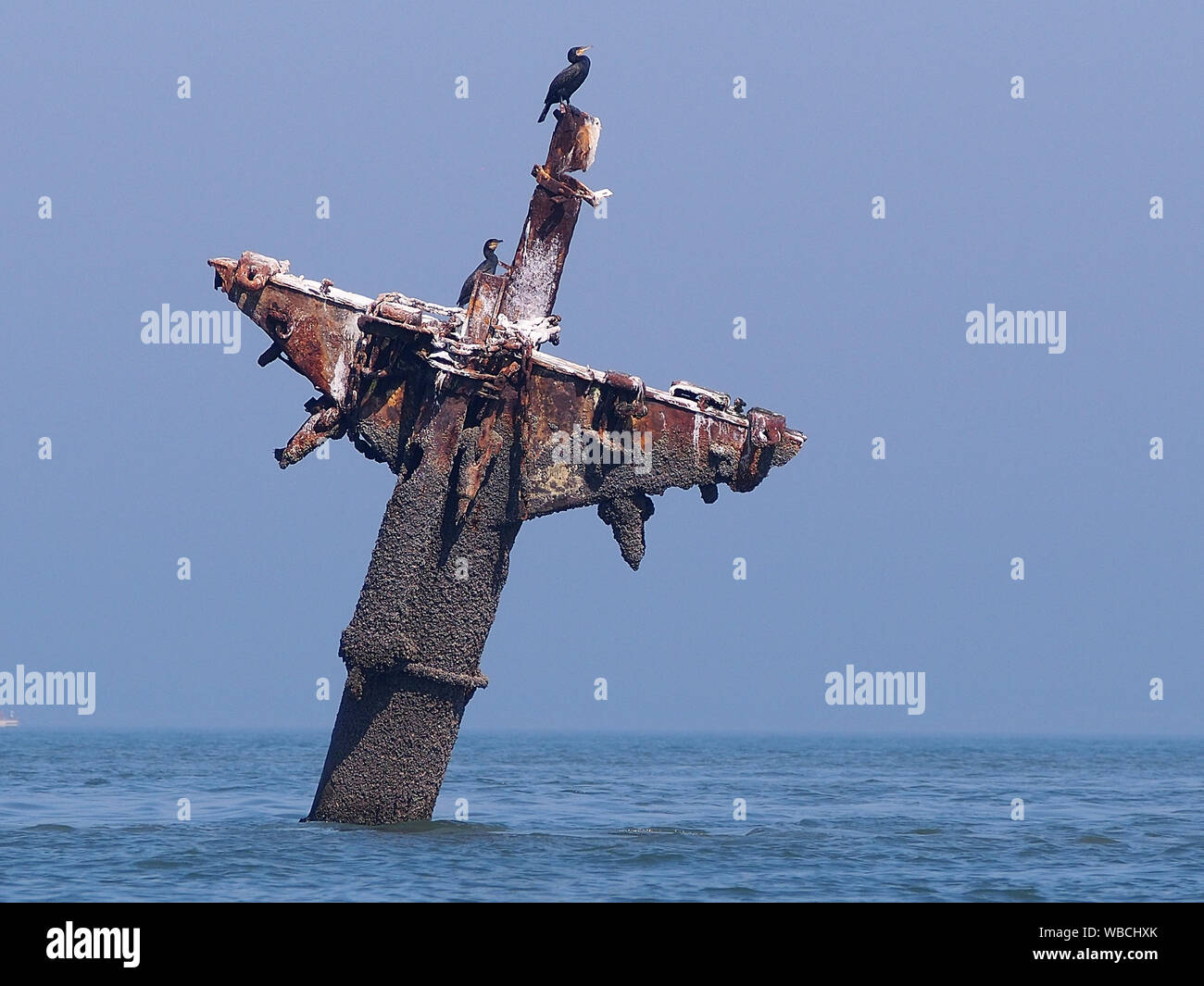 Sheerness, Kent, UK. 26th August, 2019. The deteriorating wreck of the ...