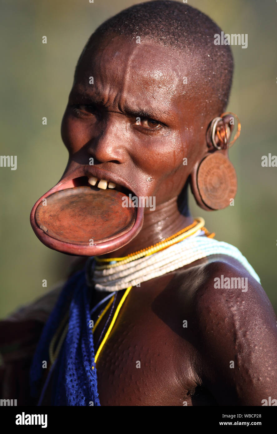 Suri woman with lipplate in South Omo, Ethiopia. A resettlement program ...