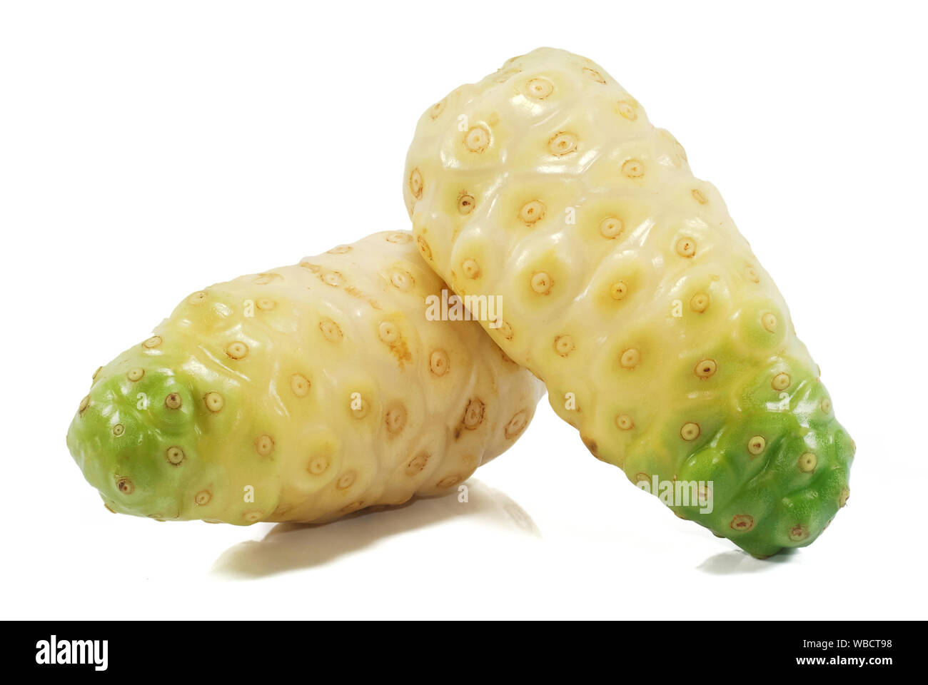 Noni or Morinda fruits isolated on white background Stock Photo - Alamy