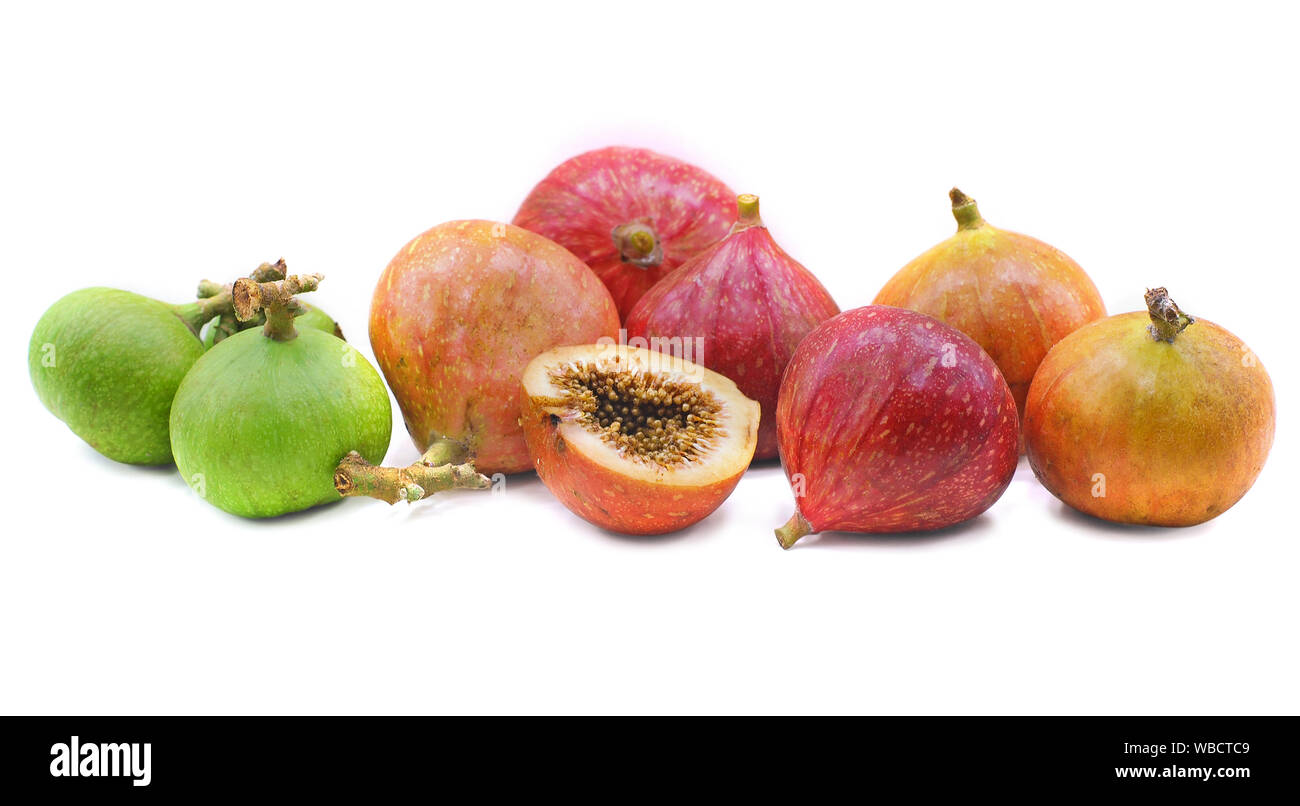 Ficus racemosa hi-res stock photography and images - Alamy