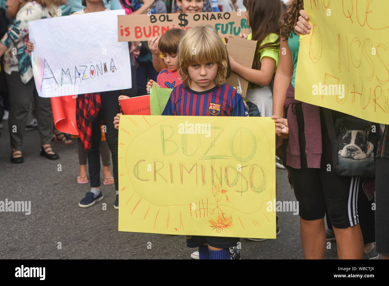 RIO DE JANEIRO, BRAZIL, AUGUST, 25, 2019: protest for the Amazon ...