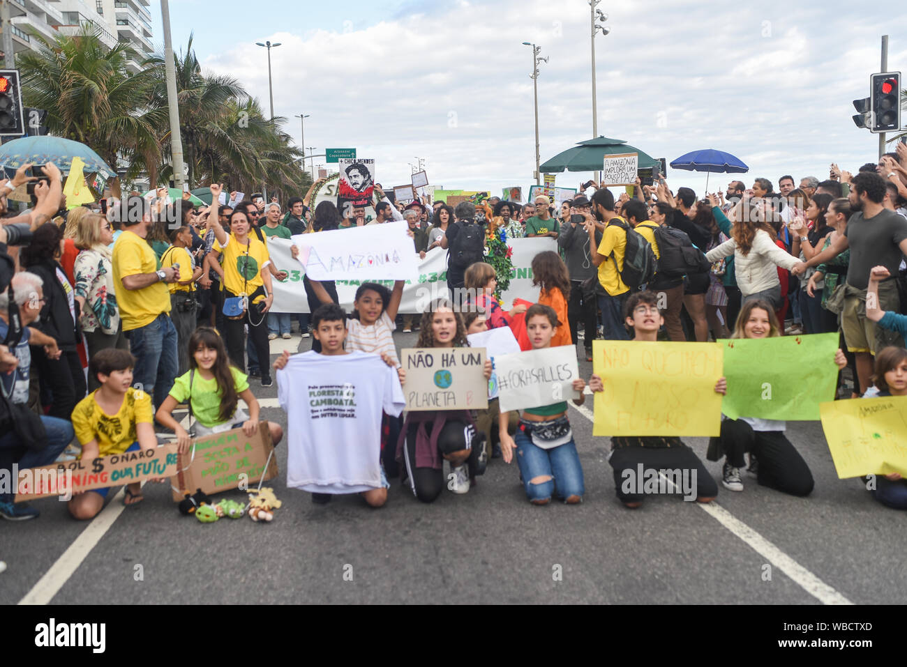 RIO DE JANEIRO, BRAZIL, AUGUST, 25, 2019: protest for the Amazon ...