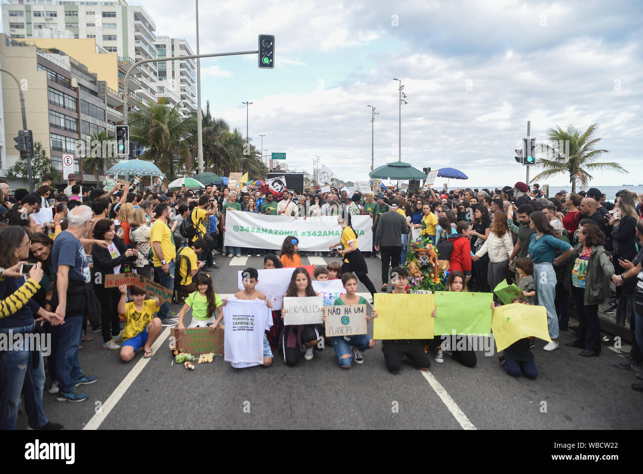 RIO DE JANEIRO, BRAZIL, AUGUST, 25, 2019: protest for the Amazon ...