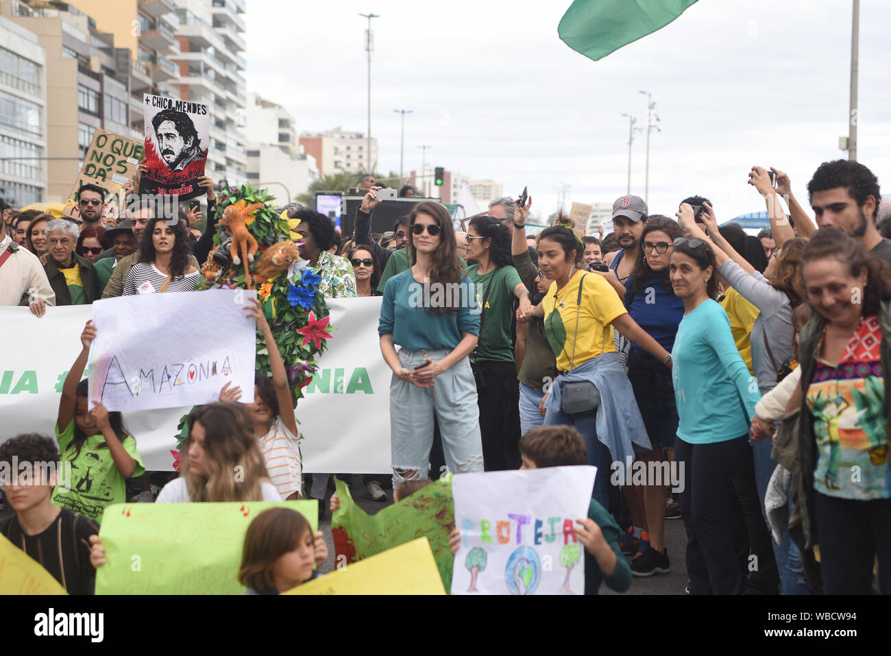 RIO DE JANEIRO, BRAZIL, AUGUST, 25, 2019: protest for the Amazon ...