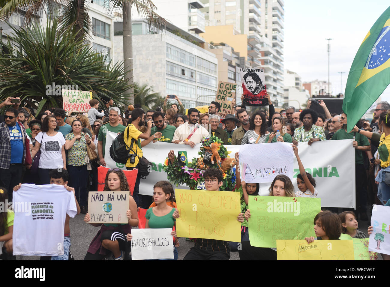 RIO DE JANEIRO, BRAZIL, AUGUST, 25, 2019: protest for the Amazon ...