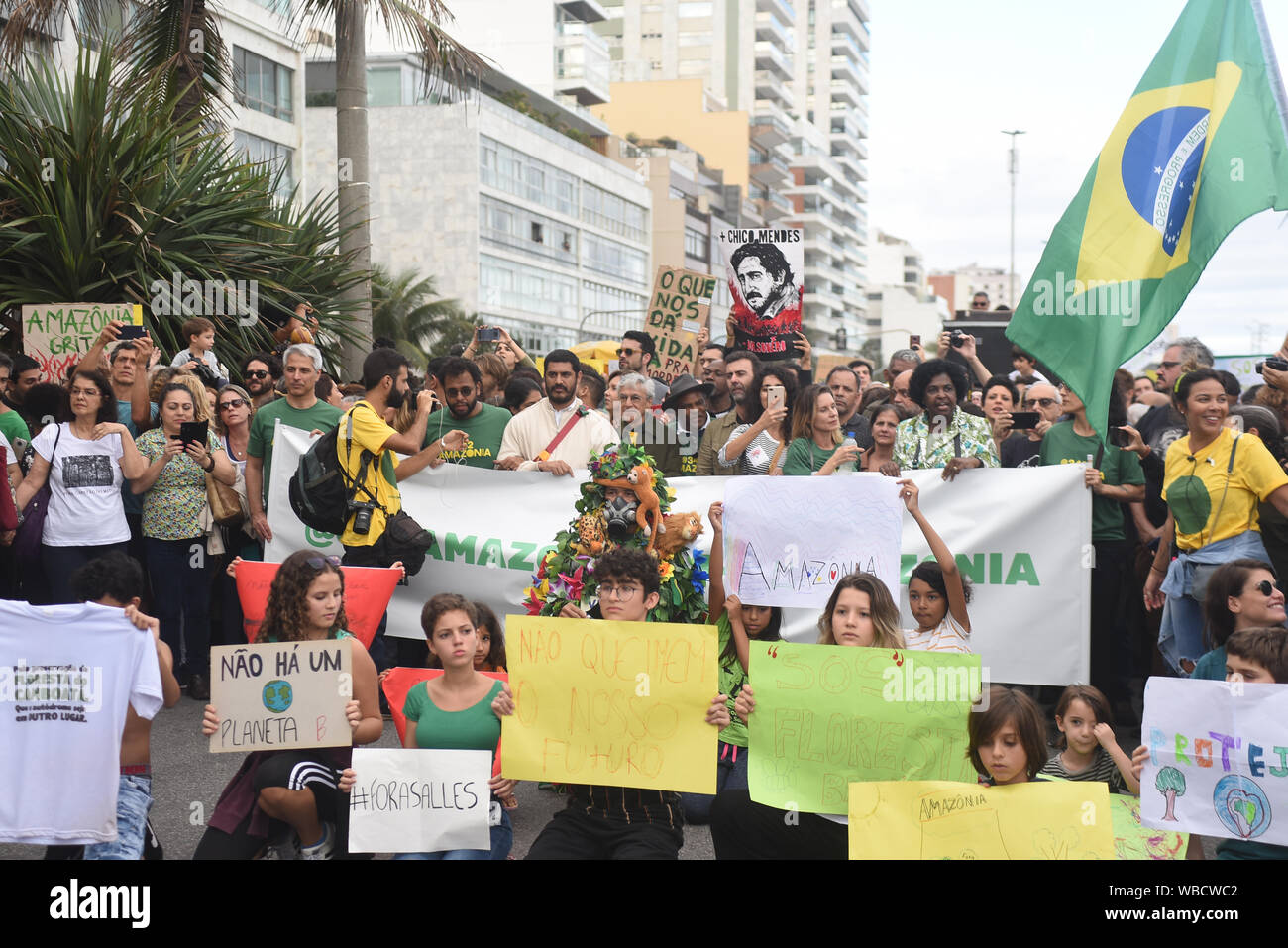 RIO DE JANEIRO, BRAZIL, AUGUST, 25, 2019: protest for the Amazon ...