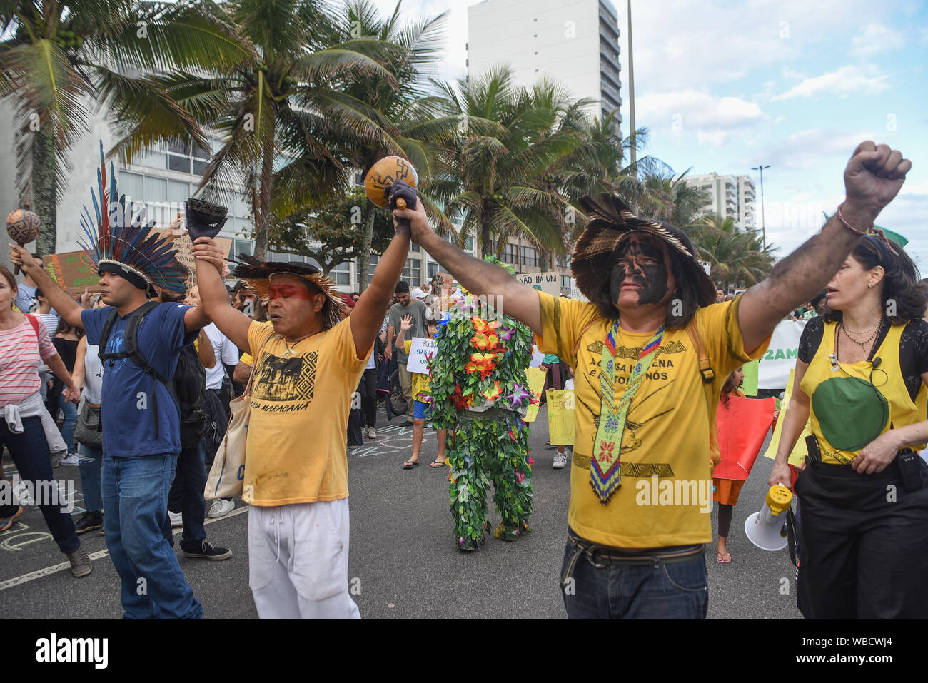 RIO DE JANEIRO, BRAZIL, AUGUST, 25, 2019: protest for the Amazon ...