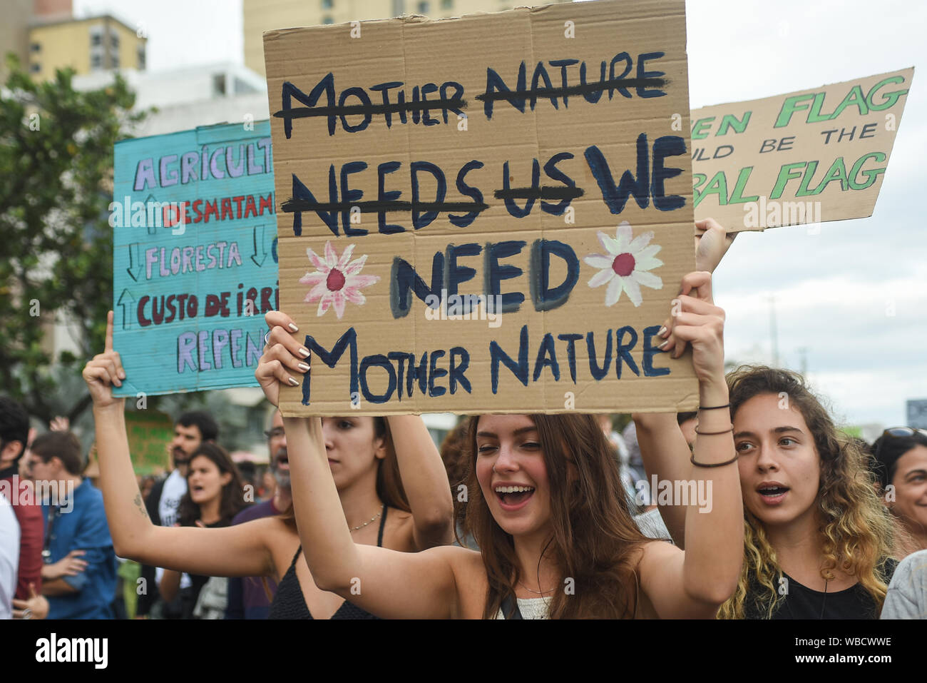 RIO DE JANEIRO, BRAZIL, AUGUST, 25, 2019: protest for the Amazon ...