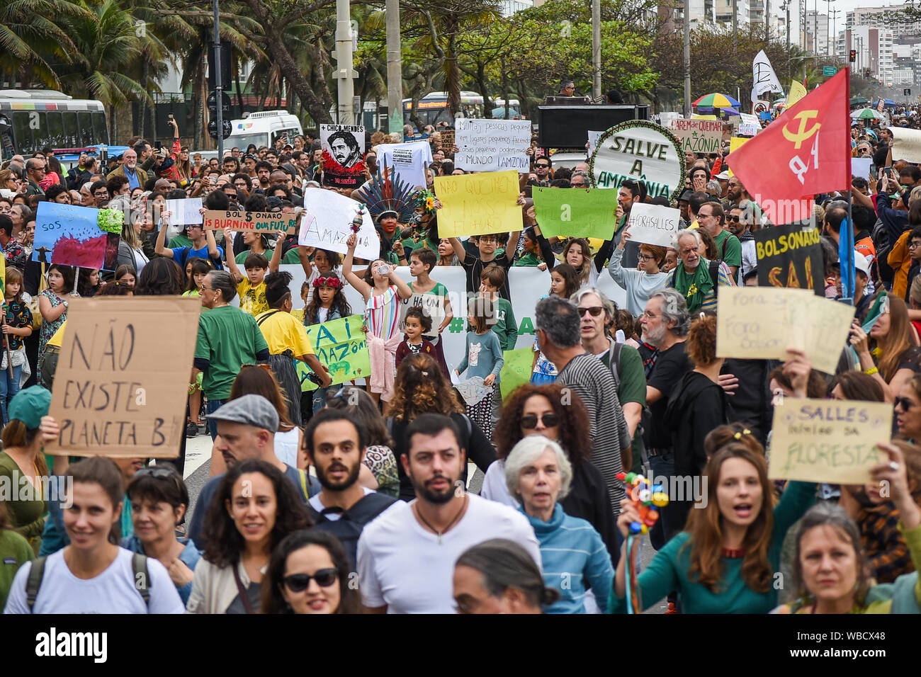 RIO DE JANEIRO, BRAZIL, AUGUST, 25, 2019: protest for the Amazon ...