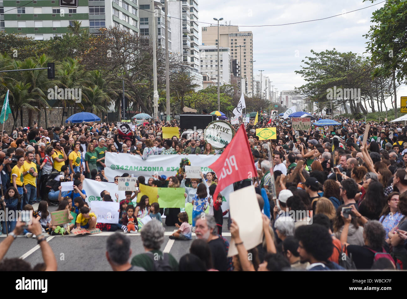RIO DE JANEIRO, BRAZIL, AUGUST, 25, 2019: protest for the Amazon ...