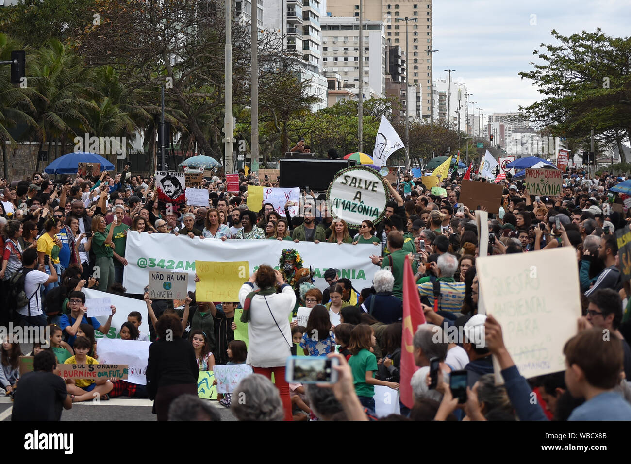 RIO DE JANEIRO, BRAZIL, AUGUST, 25, 2019: protest for the Amazon ...