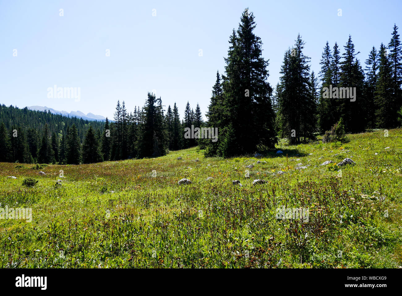 Mountainscape, Vercors plateau, Isère, France Stock Photo - Alamy