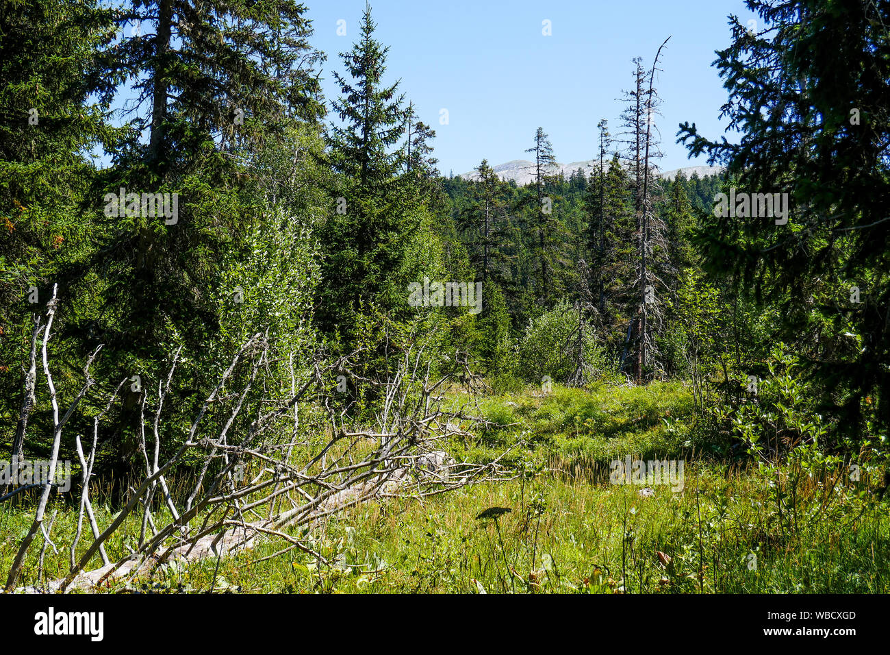 Mountainscape, Vercors plateau, Isère, France Stock Photo - Alamy